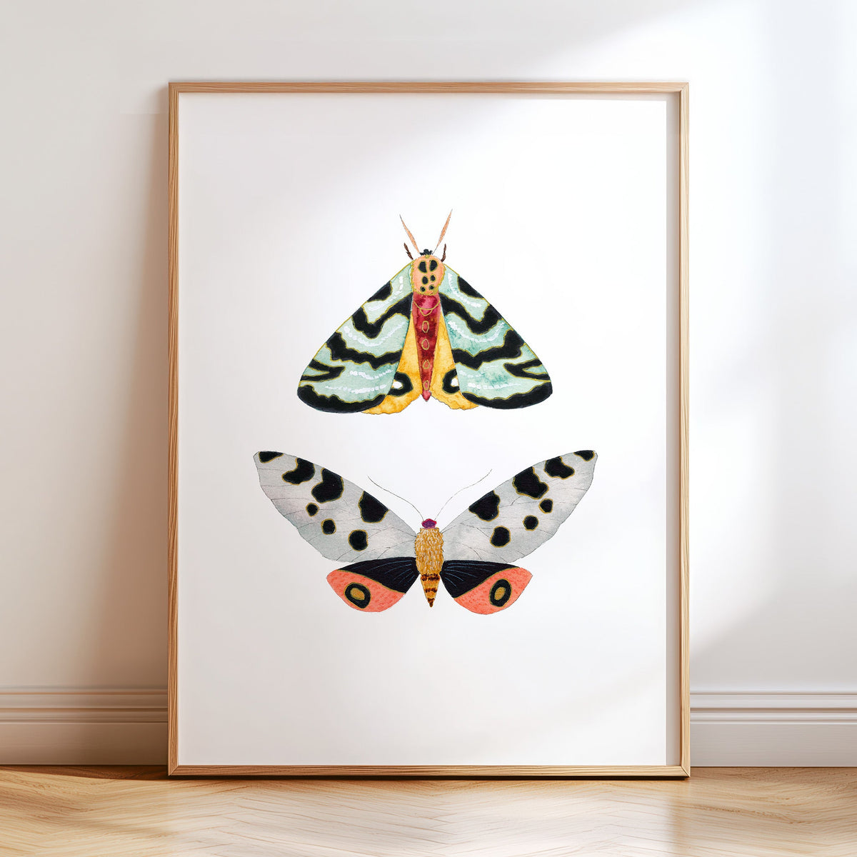 Watercolor Moths – Snoogs & Wilde