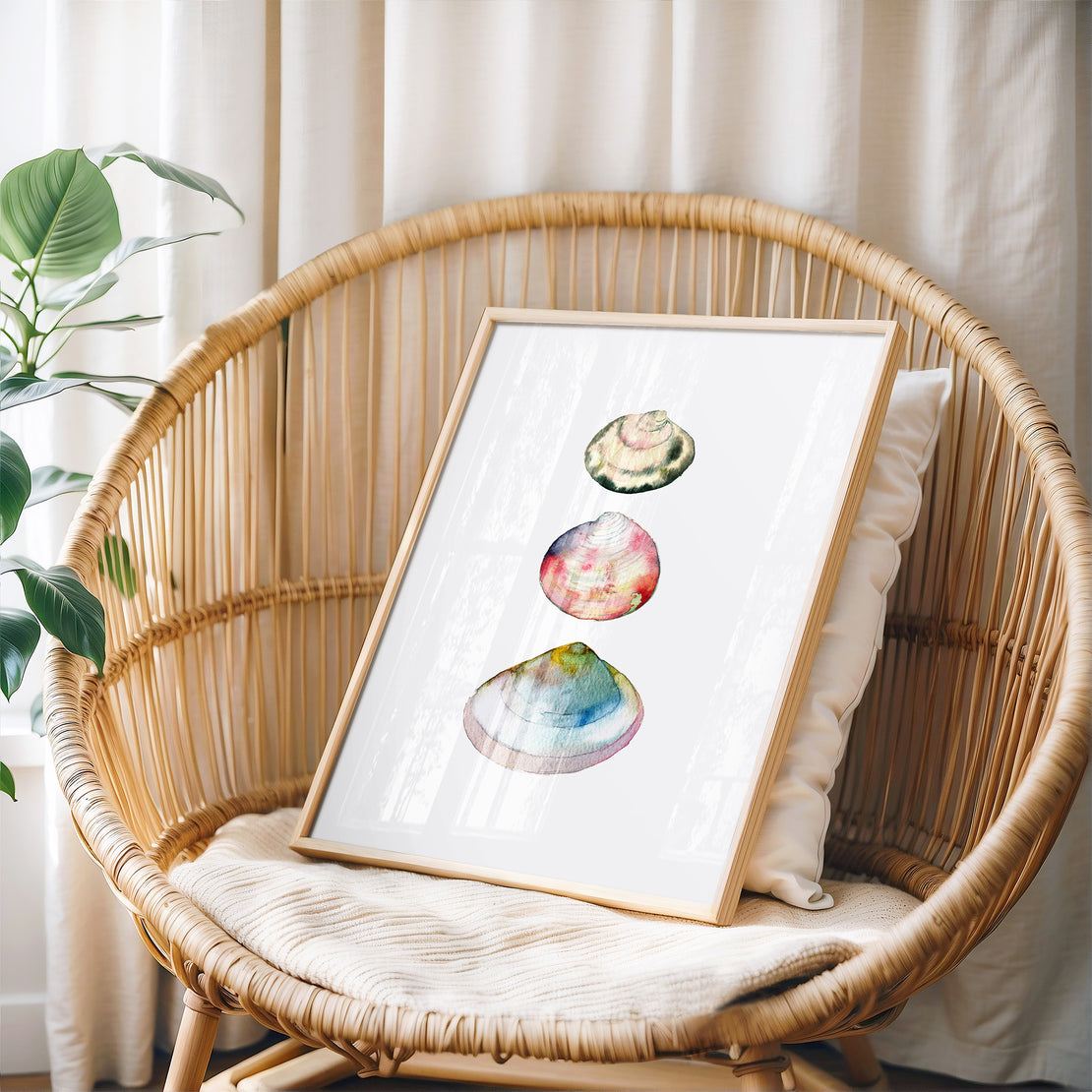 Watercolor Clam Shell Art Print – Snoogs & Wilde