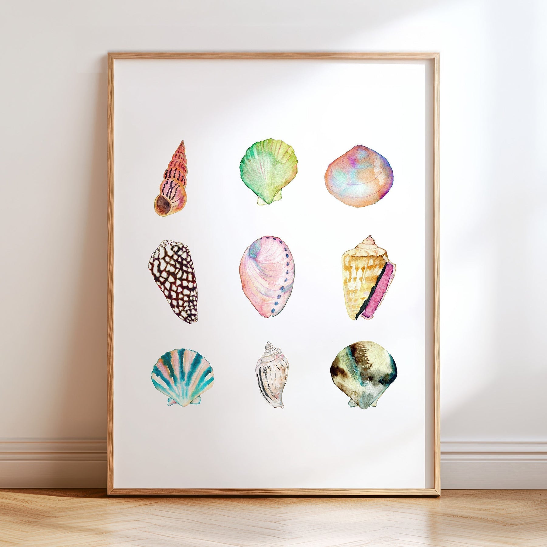 Seashell Watercolor Collection – Snoogs & Wilde