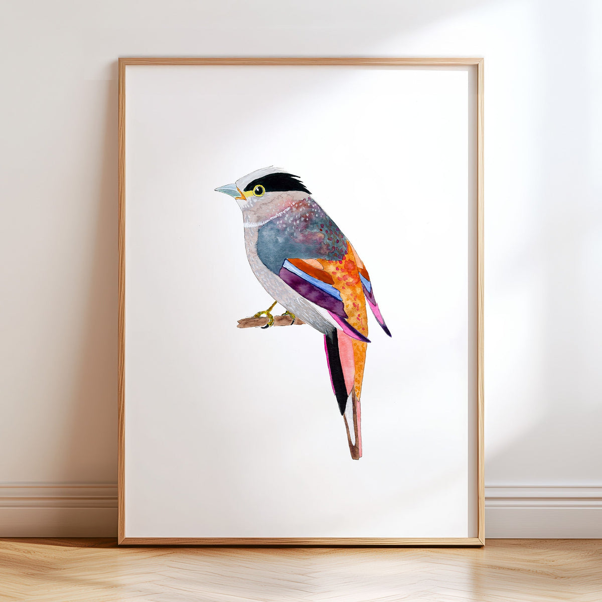 Silver-Breasted Broadbill Bird Wall Art Print – Snoogs & Wilde